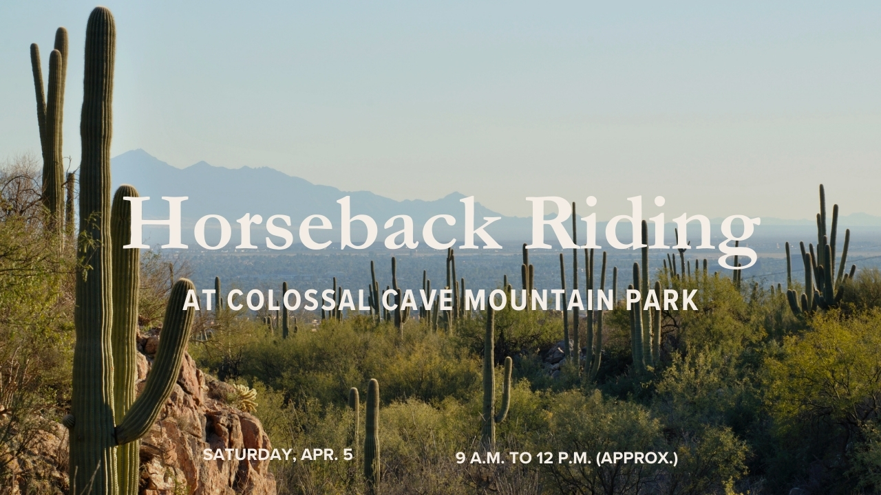 Horseback Riding at Colossal Cave | Arizona International