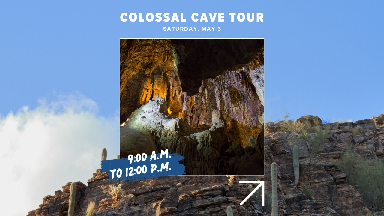 Colossal Cave Tour | Arizona International